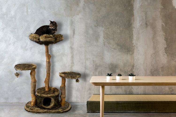 The 9 Best Cat Tree Features | Wayfair