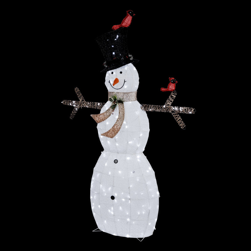 The Holiday Aisle® Snowman Lighted Display & Reviews | Wayfair