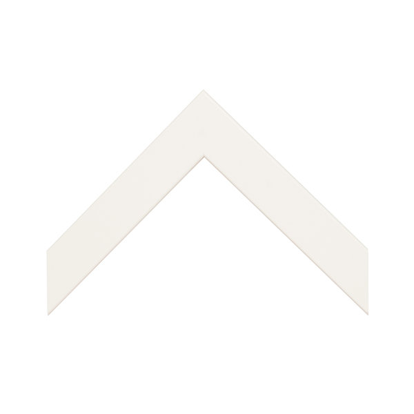 WallsThatSpeak Frame Set in White | Wayfair