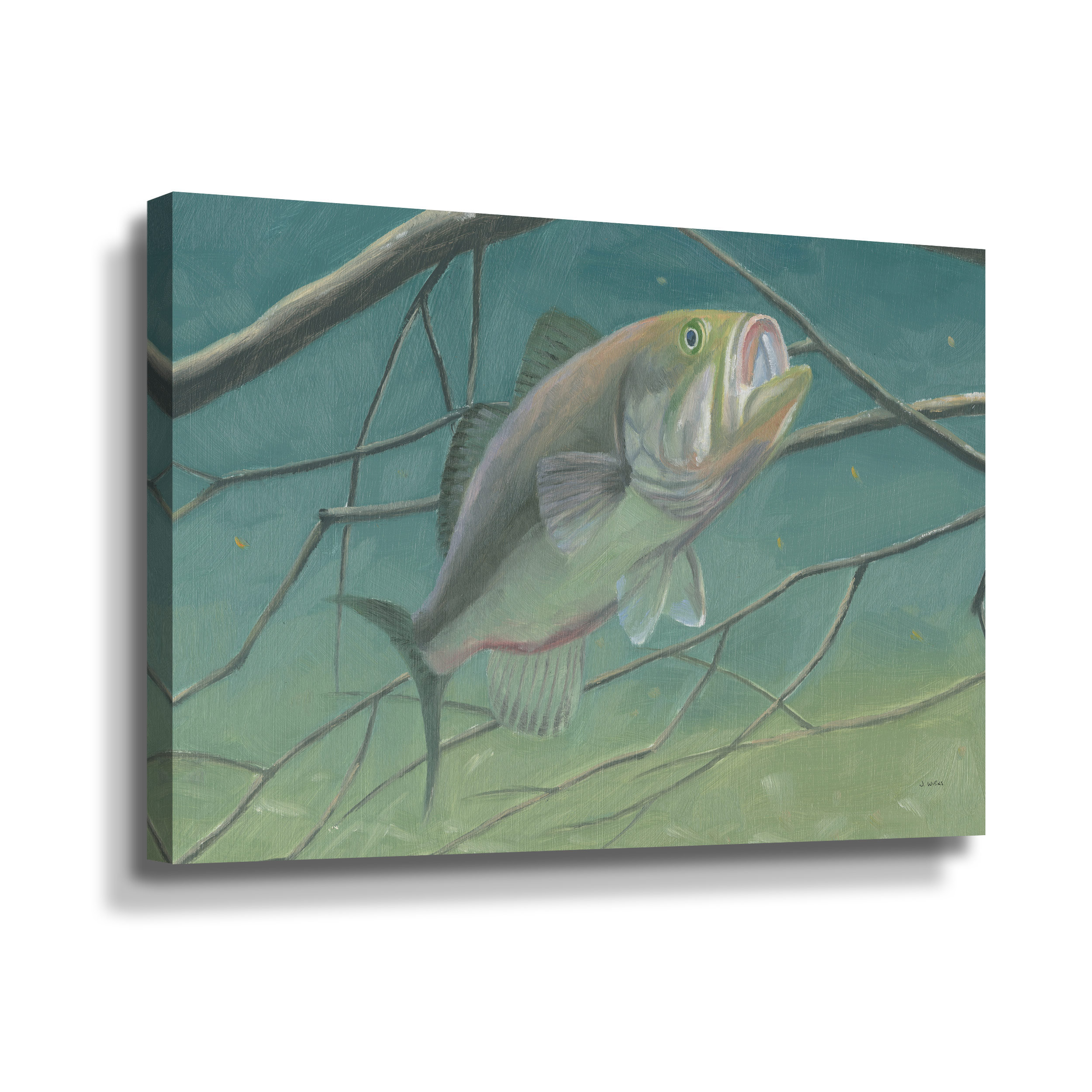 Highland Dunes Fresh Catch II Gallery Wrapped Floater-Framed Canvas ...