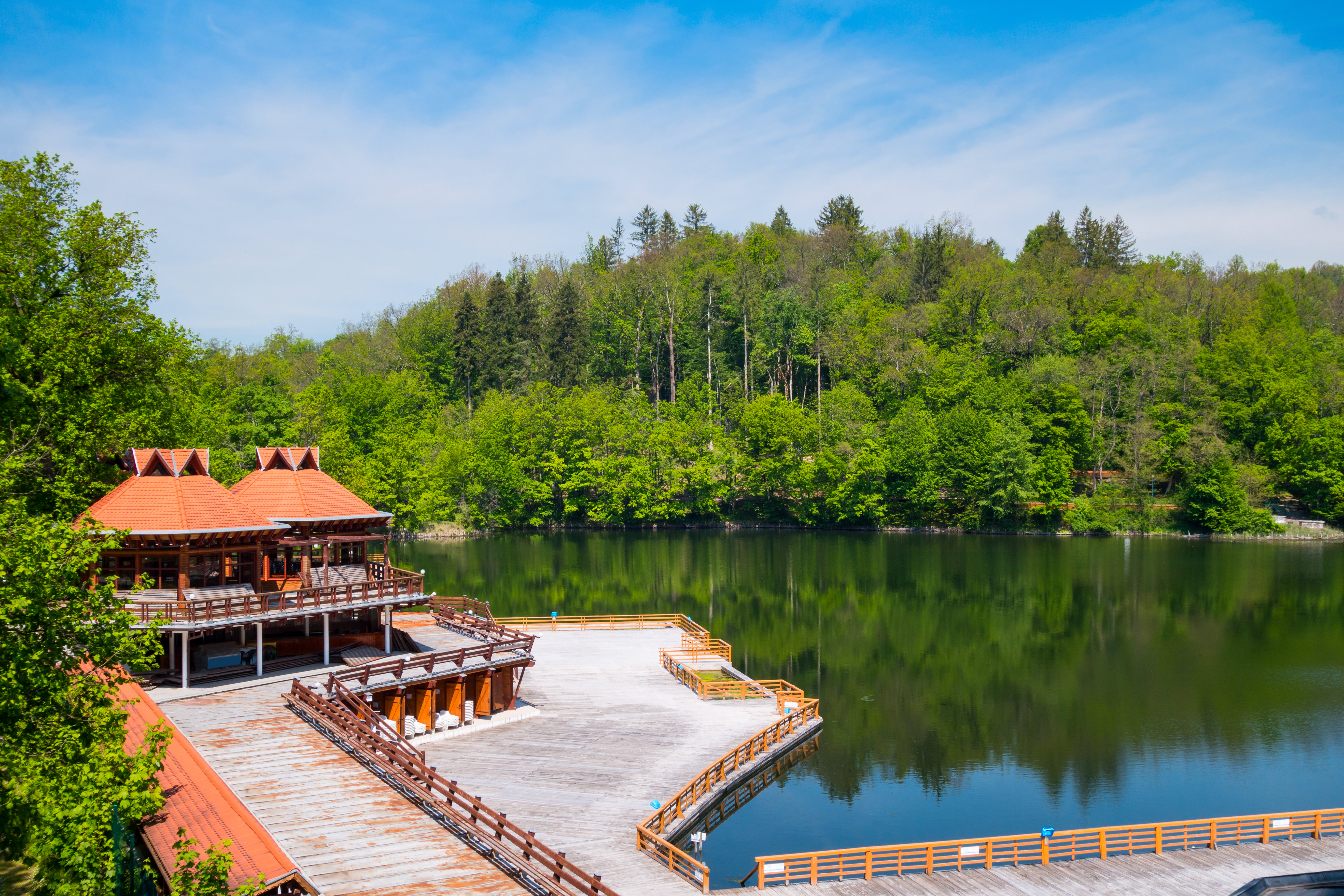 Ebern Designs Bear Lake in Sovata Romania by Benedek | Wayfair