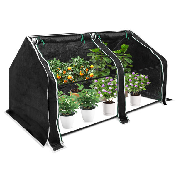 Dakota Fields Braniah 59 Ft W x 30 Ft D Mini Greenhouse | Wayfair.co.uk