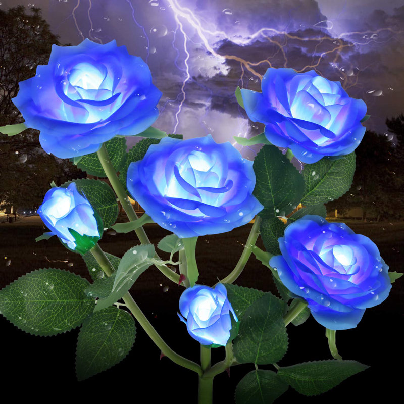 LinsCraft Solar Powered Integrated LED Pathway Light & Reviews | Wayfair