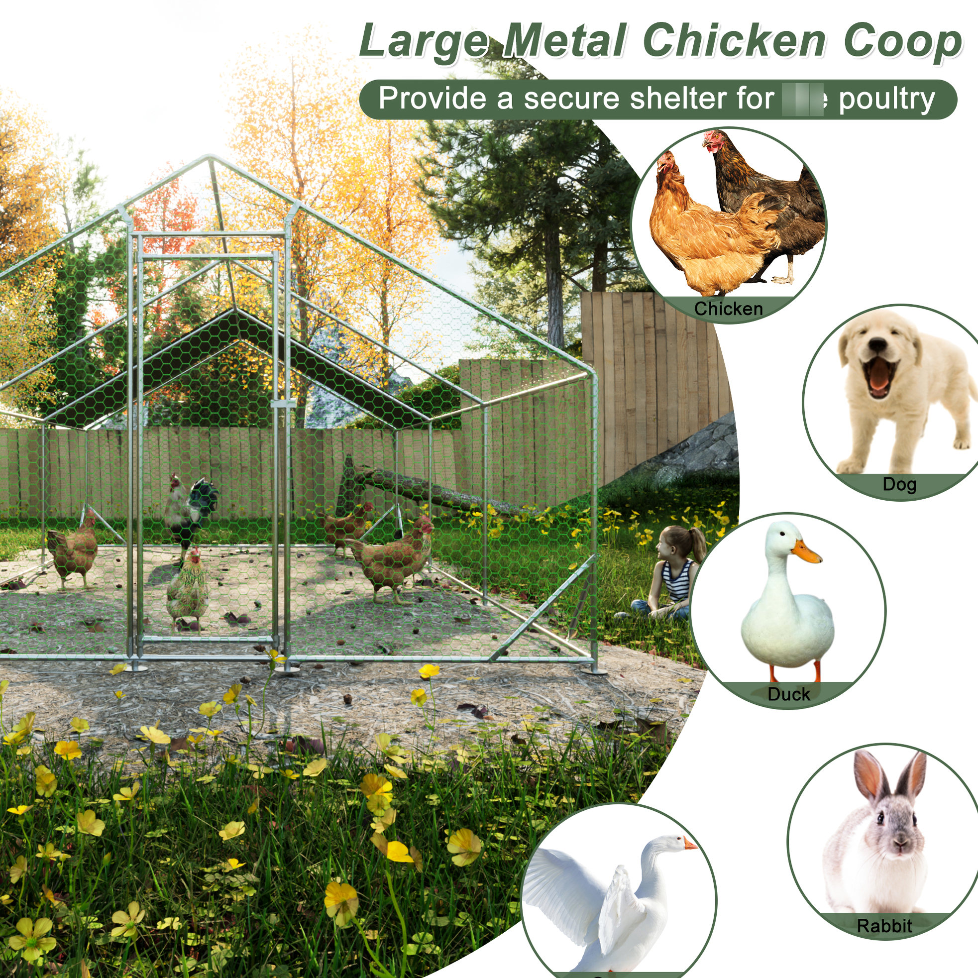 Tucker Murphy Pet™ Large Metal Chicken Run Galvanized Poultry Cage With ...