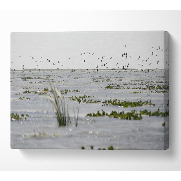 Beachcrest Home No Frame Print on Canvas | Wayfair.co.uk