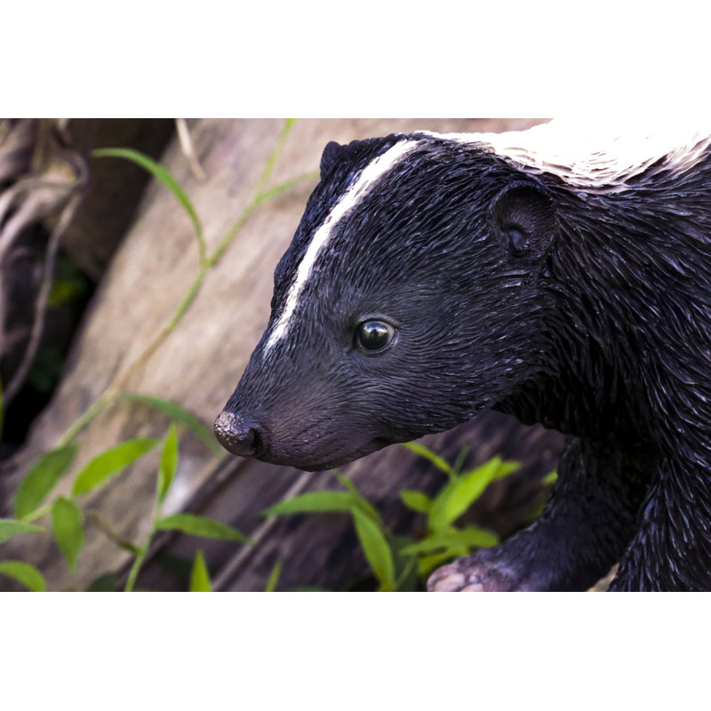 Hi-Line Gift Ltd. WALKING SKUNK STATUE & Reviews - Wayfair Canada