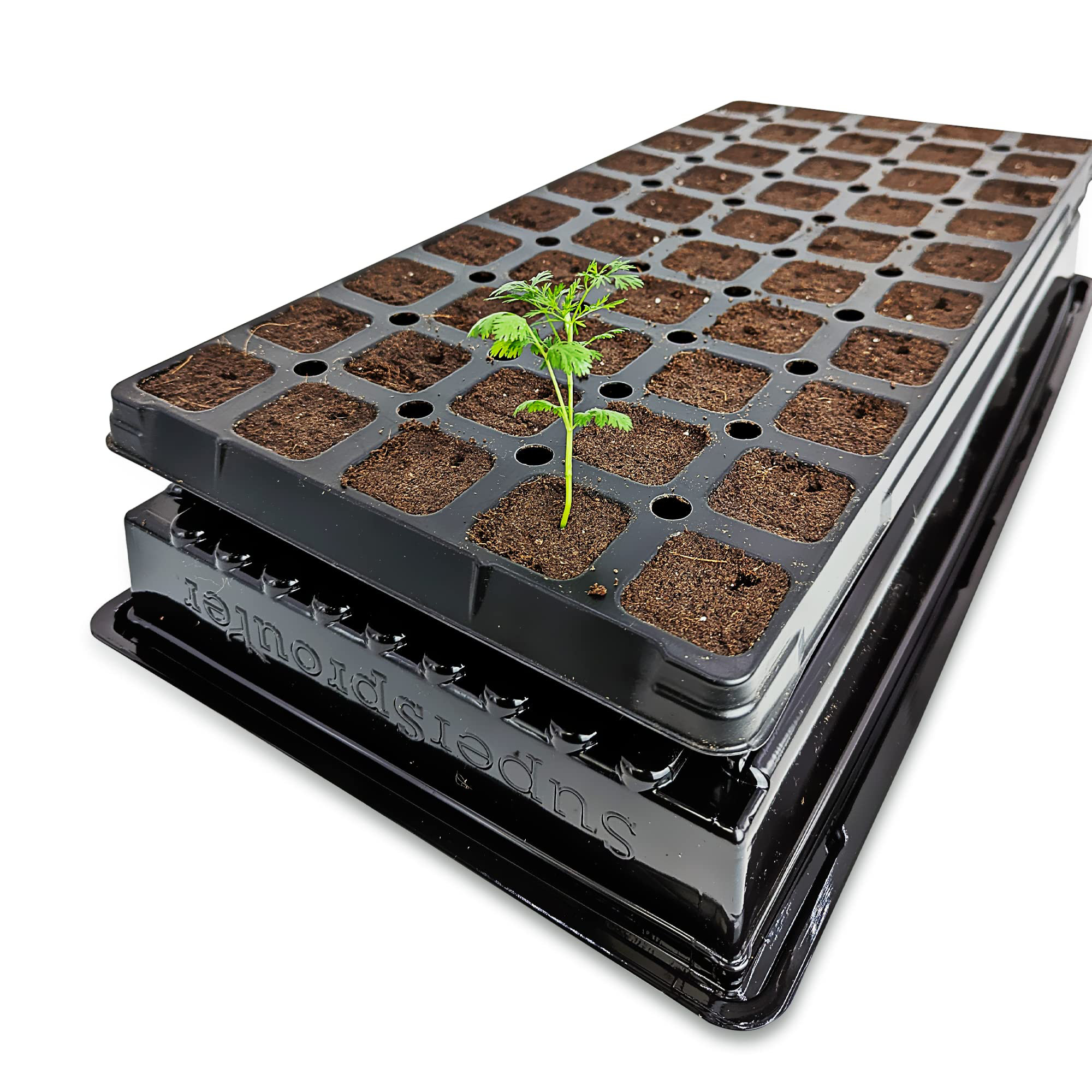 UNIVERSAL WINDOW SOLUTIONS Hydroponic Seed Starter Plugs, 50 Pcs In 1 ...