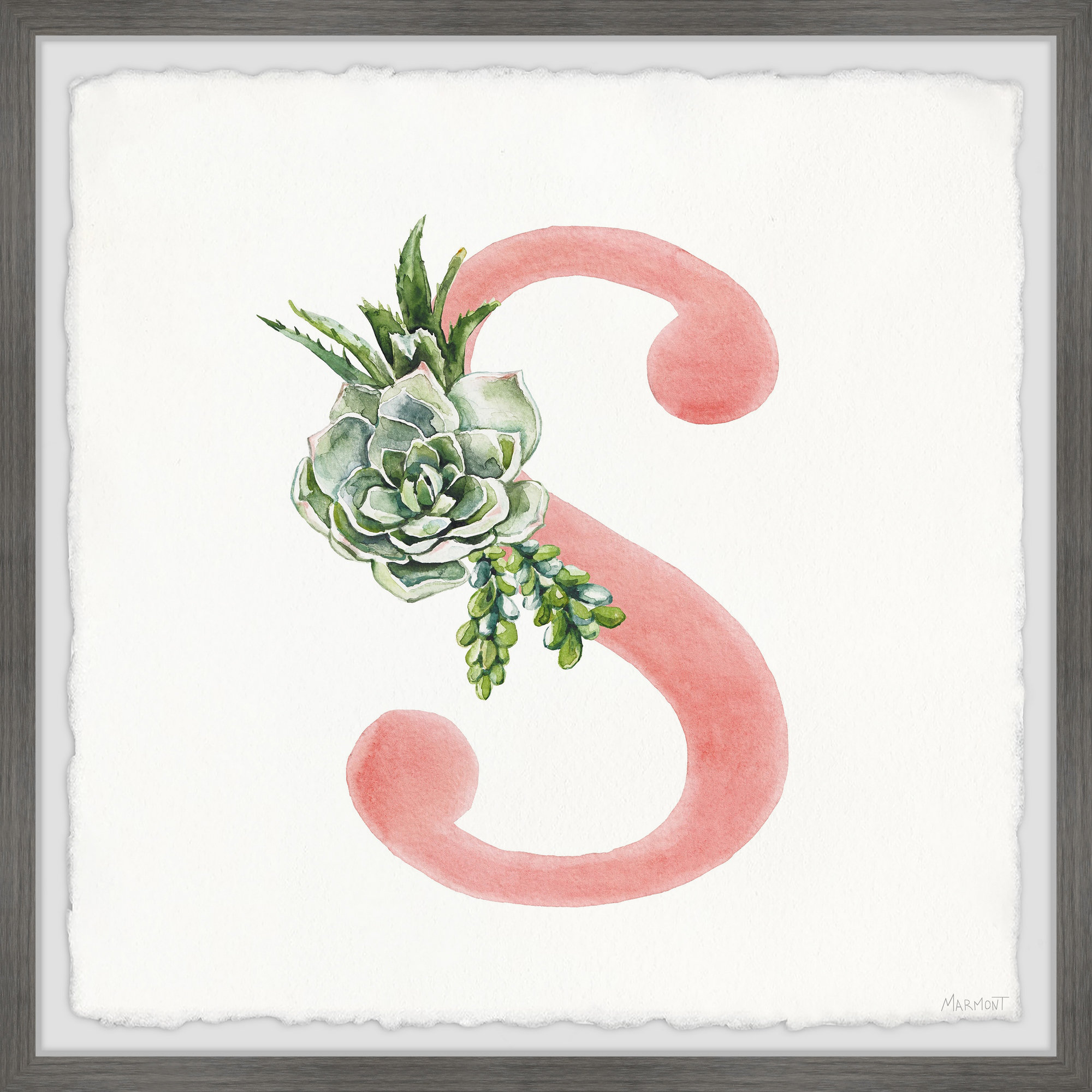 Harriet Bee Bruna S Succulents Framed Print | Wayfair