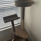 Tucker Murphy Pet™ Telly Cat Tree & Reviews | Wayfair