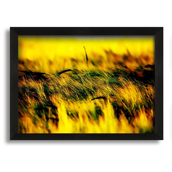 Ebern Designs Wheatfield Yellow - Single Picture Frame Photograph on ...