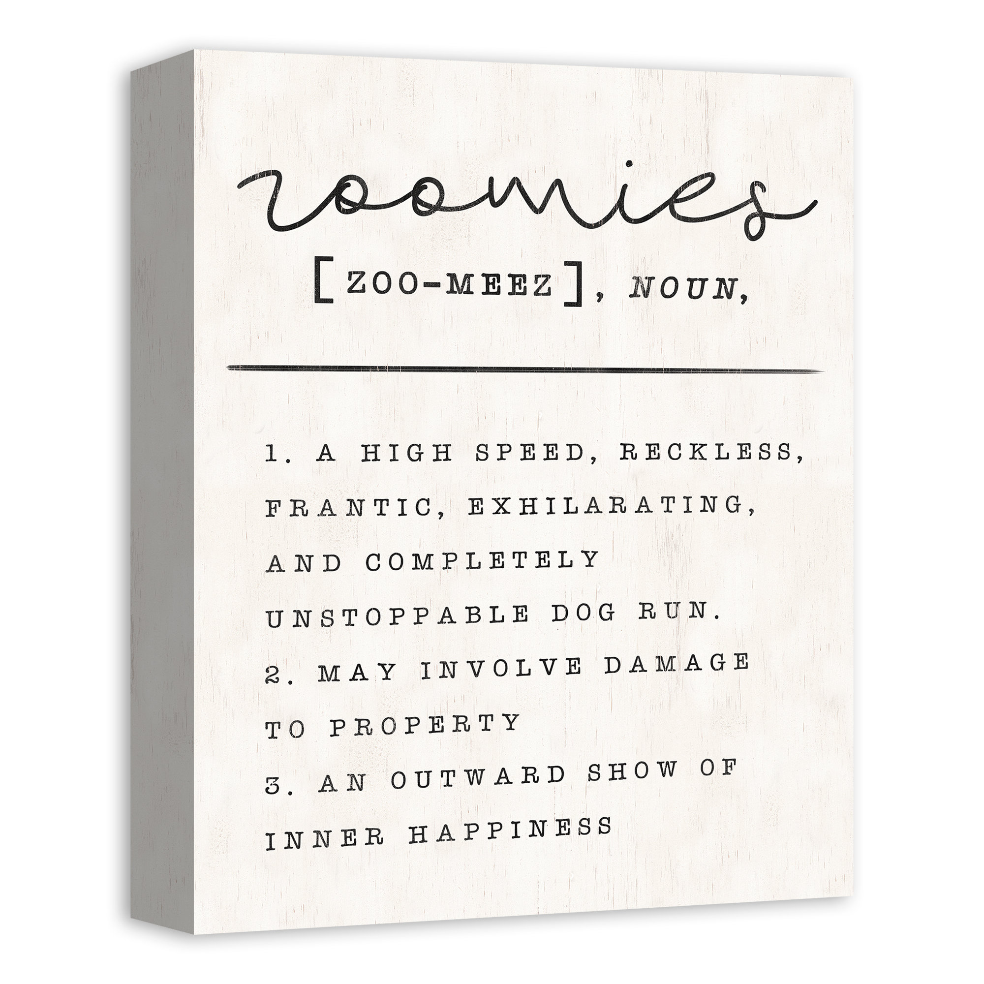 Trinx Zoomies Definition - Unframed Print on Canvas - Wayfair Canada