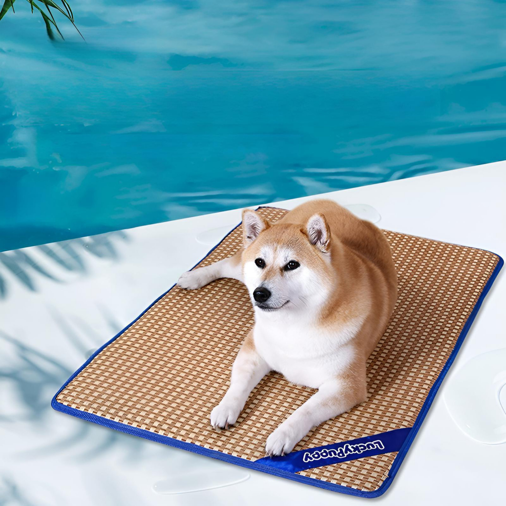 Tucker Murphy Pet™ Pet Sleeping Mats Made Of Breathable Materials ...