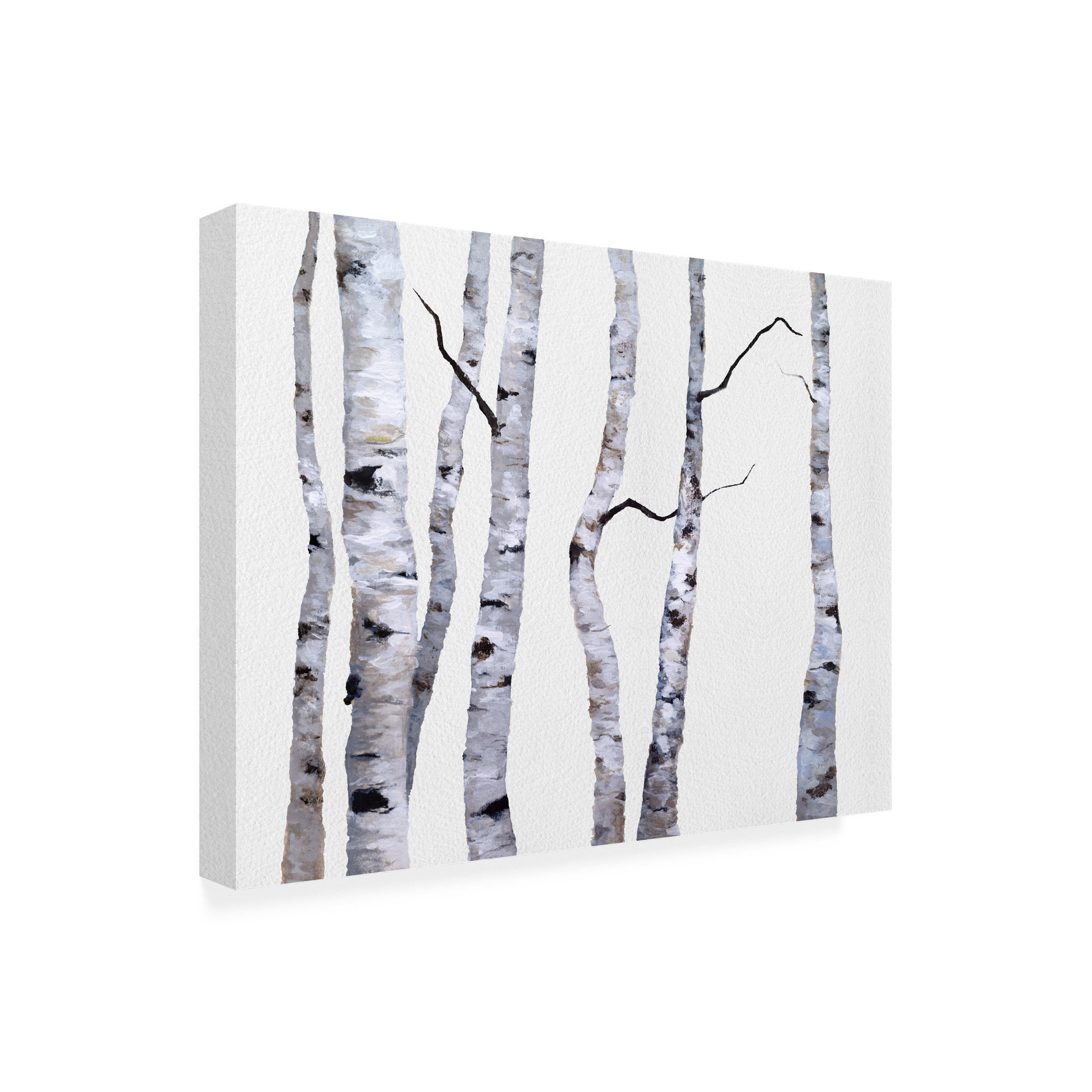Millwood Pines Birch Trees I On Canvas by Sheila Finch Print - Wayfair ...