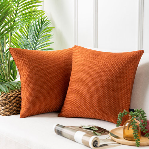 Orange Throw Pillows You'll Love