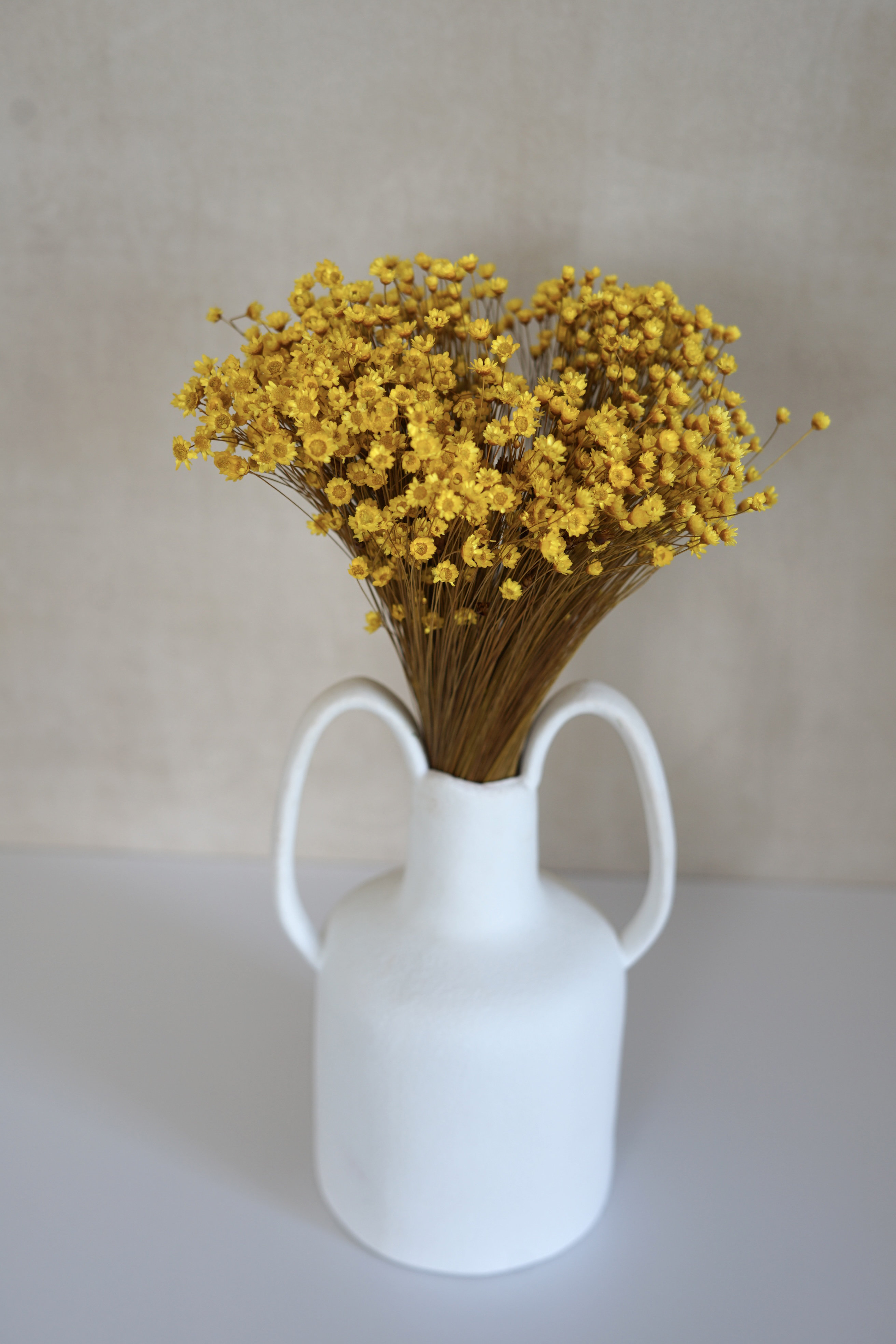 Primrue Baby's Breath Arrangement | Wayfair