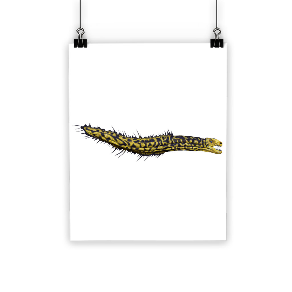 East Urban Home Yellow Eel - Unframed Drawing Print | Wayfair
