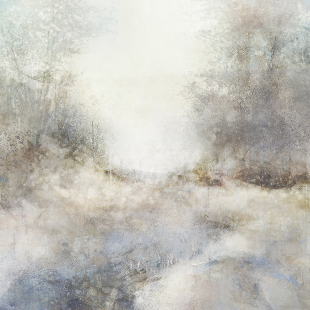Ebern Designs Forest Night I by Ken Roko - Unframed Painting Print on ...