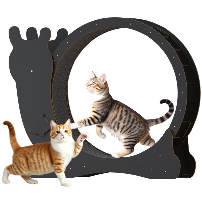 Corrigan Studio® Cat Exercise Running Wheel with Locking Mechanism ...