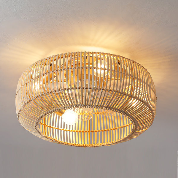 Bay Isle Home™ 20"Rattan Ceiling Fans with Lights, Low Profile Boho ...