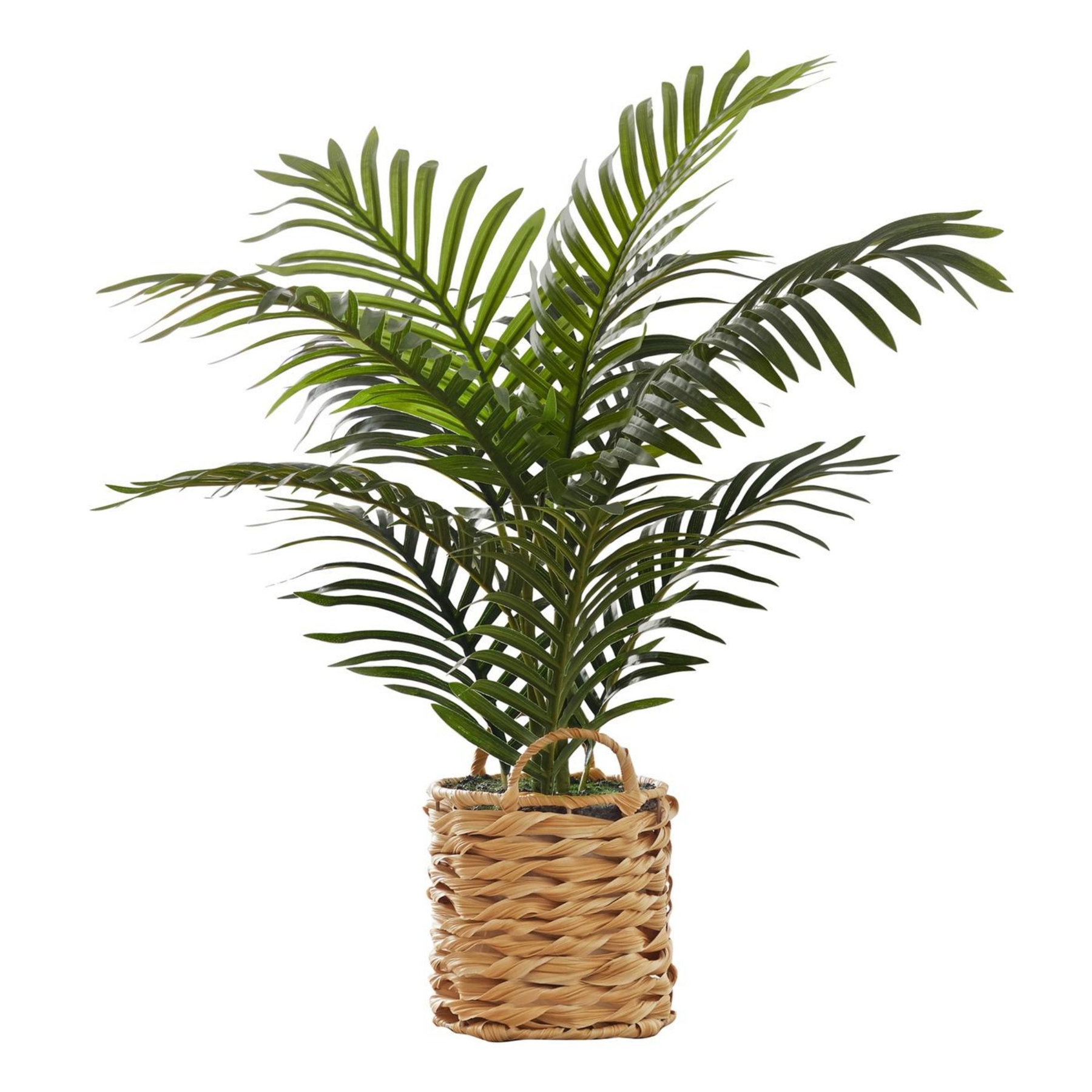 Primrue Tabletop Palm Tree in Woven Basket for Boho Style | Wayfair