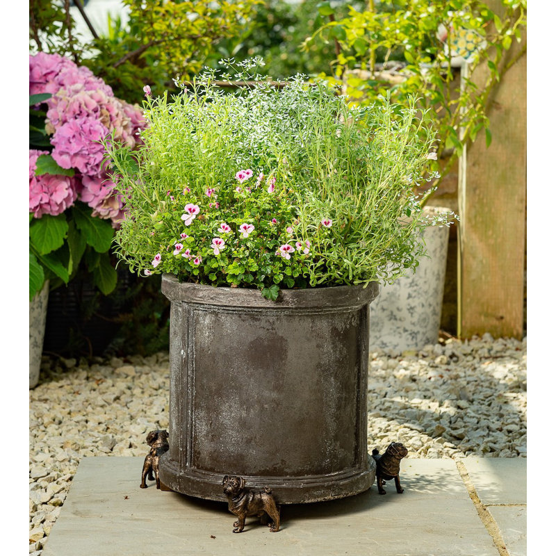 Jardinopia Pug Dog Bronze Coloured Planter Feet In Gift Box | Wayfair