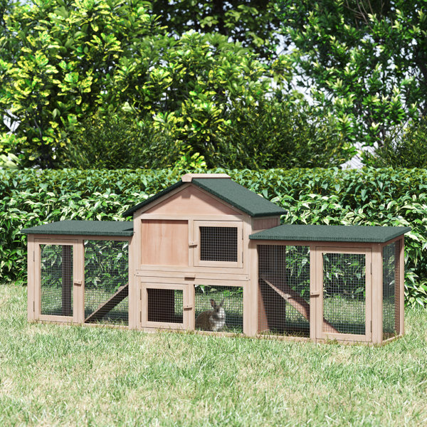 Tucker Murphy Pet™ Camire Wood 2 Story Deluxe XL Rabbit Hutch & Reviews ...