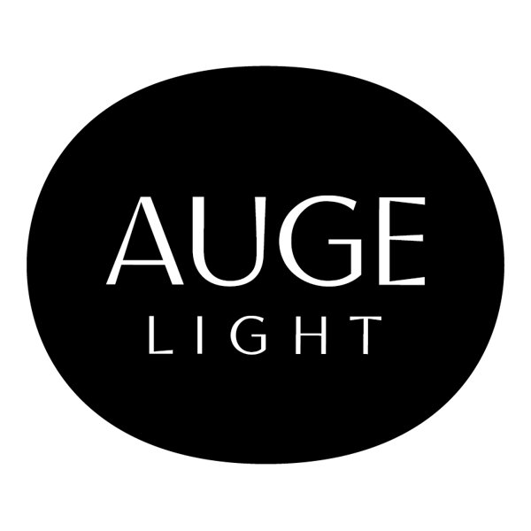 AUGE LIGHT | Wayfair