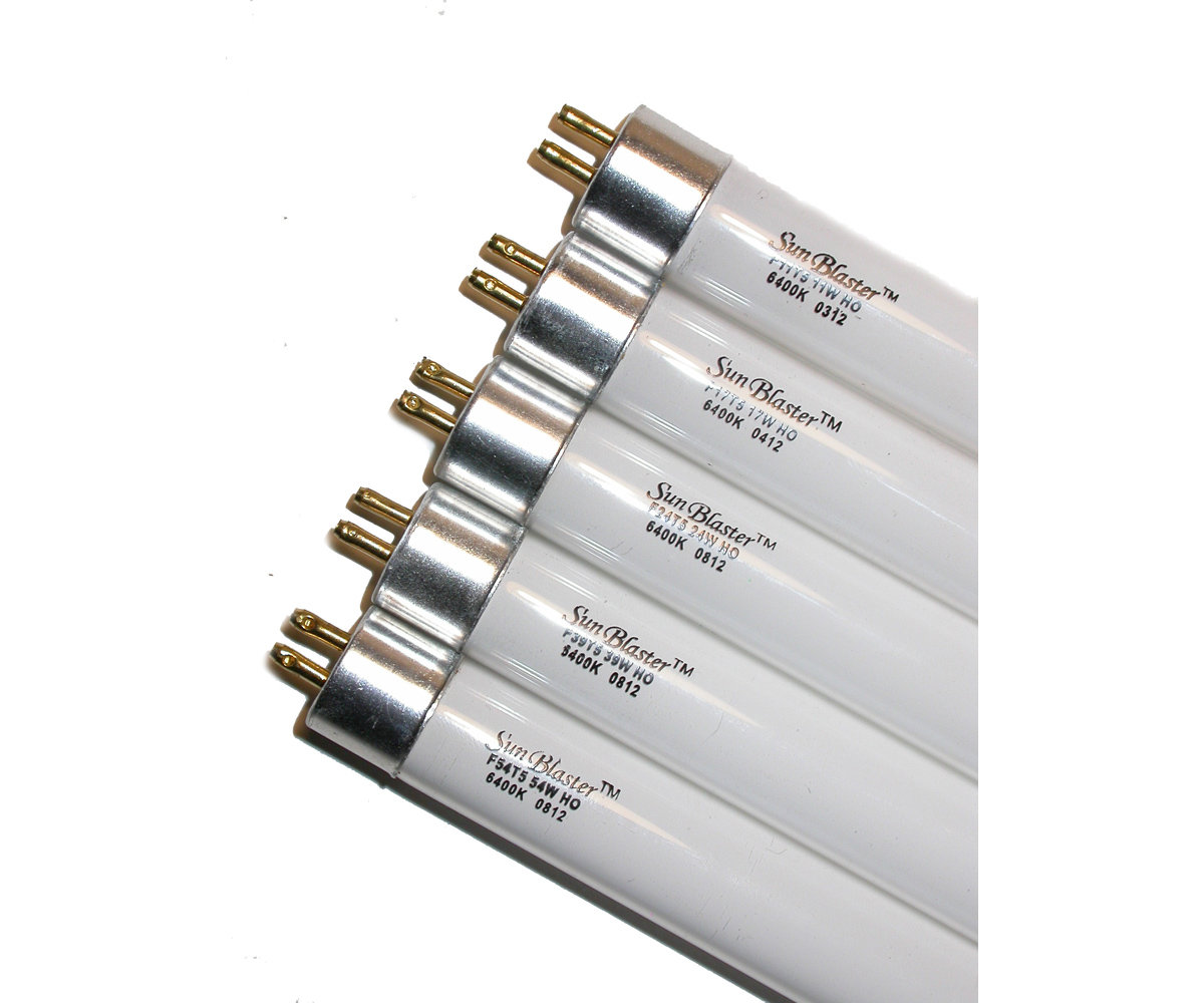 Sunblaster Replacement Lamp & Reviews - Wayfair Canada