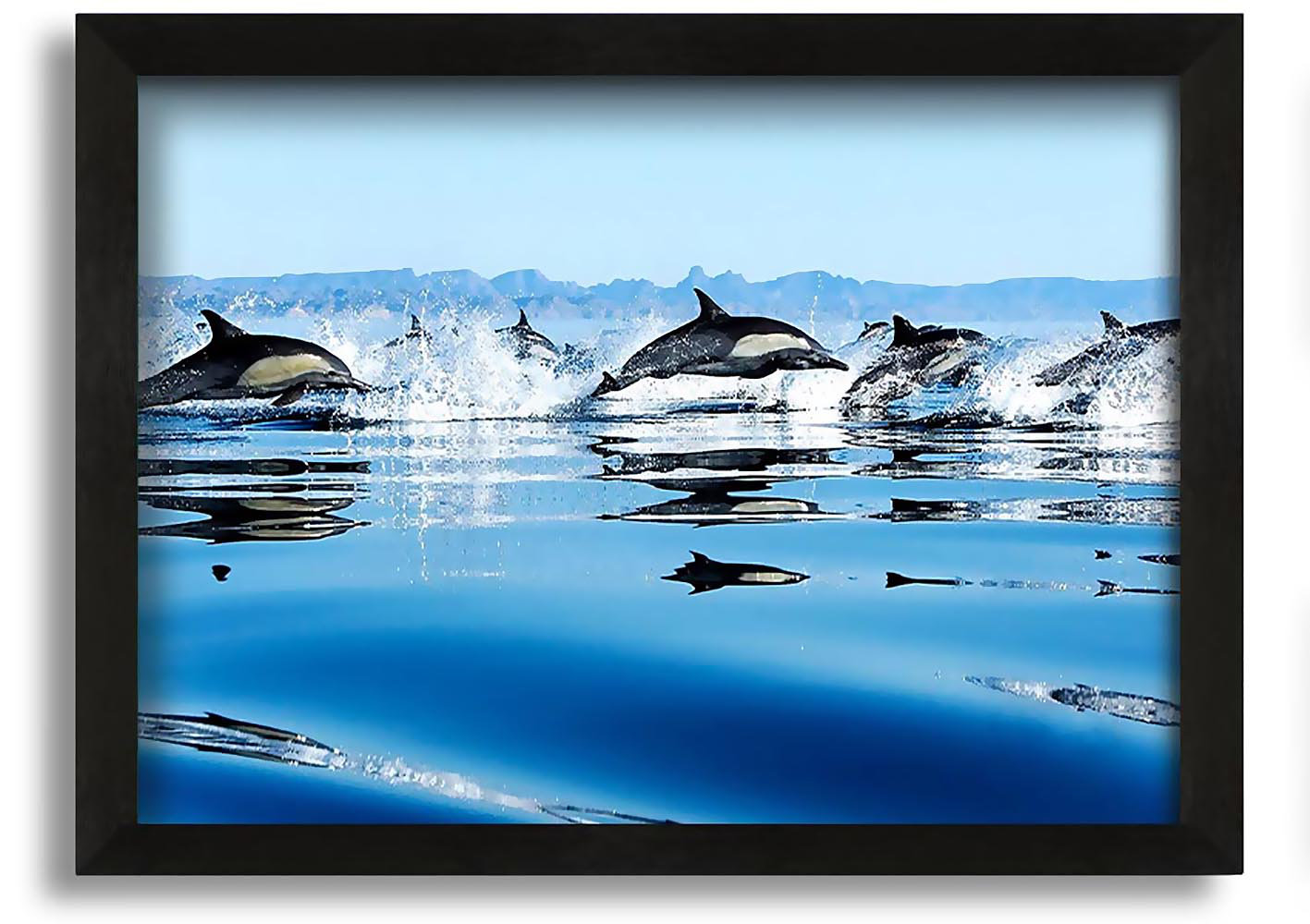 House of Hampton Dolphins In The Sea Framed Print | Wayfair.co.uk