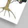 Marlow Home Co. Ibin Tree by Patricia Pino - No Frame Art Prints ...