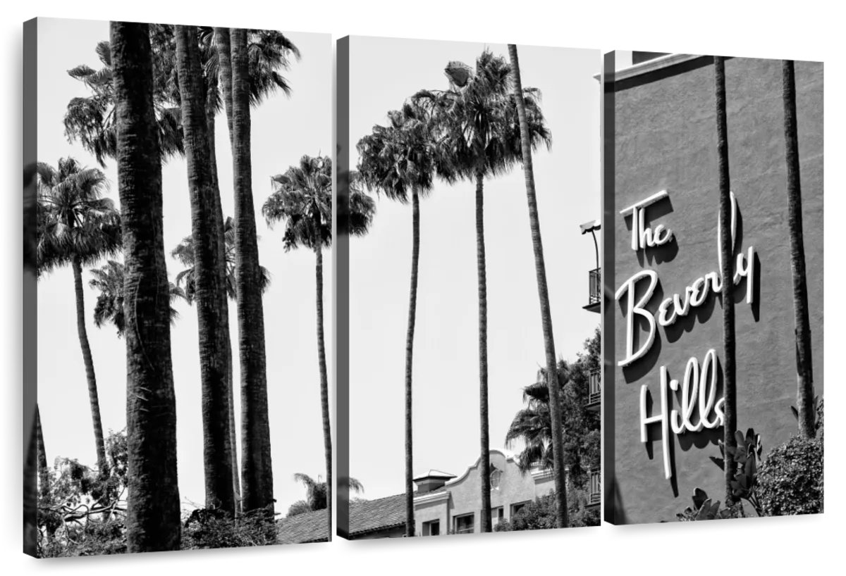 Ebern Designs Sebbie Black California - The Beverly Hills I - Wayfair ...