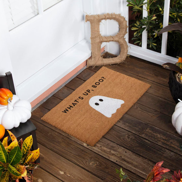 Rugs.com Arlmont & Co. Boo Doormat & Reviews - Wayfair Canada