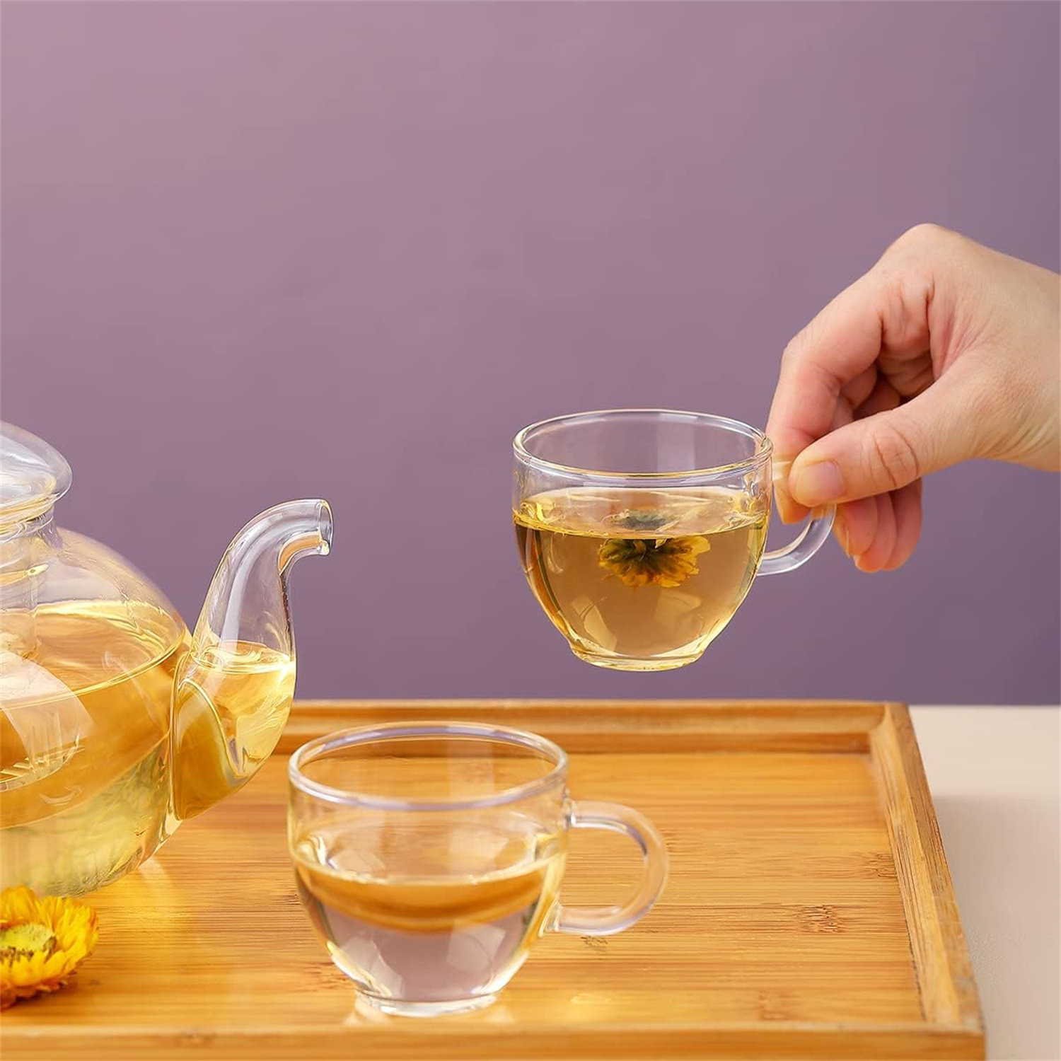Ivy Bronx Glass Tea Pot With 4 Tea Cups, Removable Infuser, Blooming ...