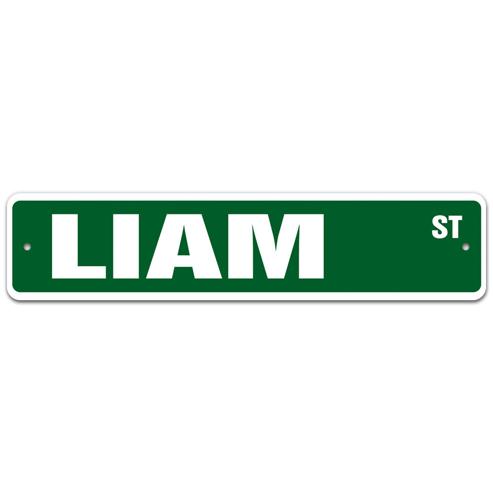 Trinx LIAM Aluminum Street Sign Childrens Name Room Metal Sign ...