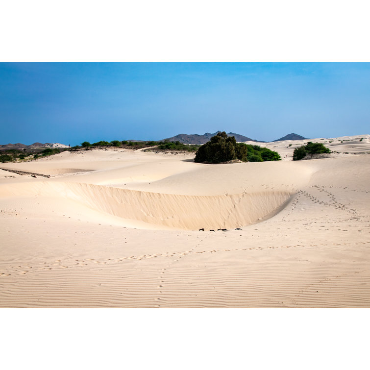 17 Stories Boa Vista by Andi Edwards - Wrapped Canvas Photograph ...
