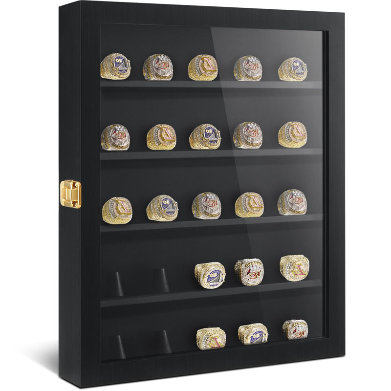 HIRVOK 25-Ring Championship Display Case | Wayfair