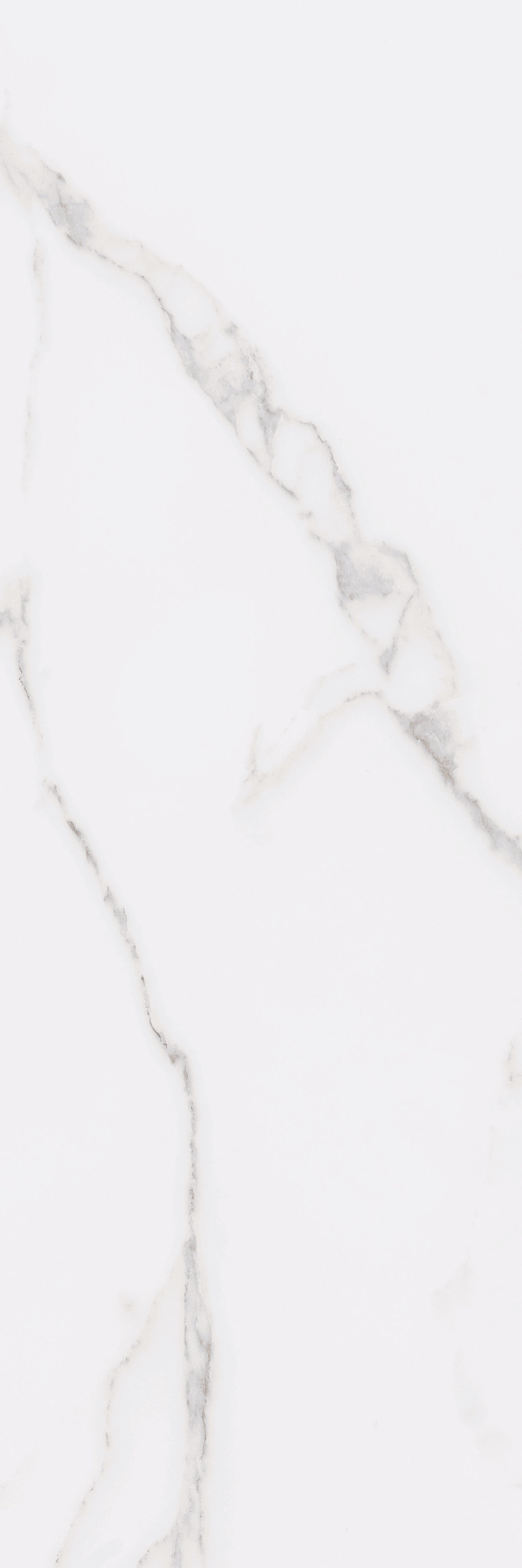 Roca Tiles STATUARY WHITE MG 3X12 | Wayfair