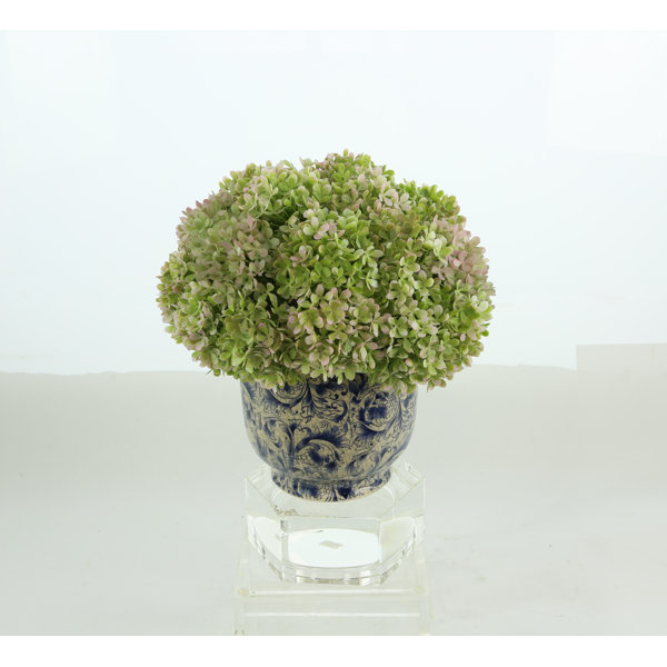 Creative Displays, Inc. Snowball Hydrangea in Decorative Ceramic Vase ...