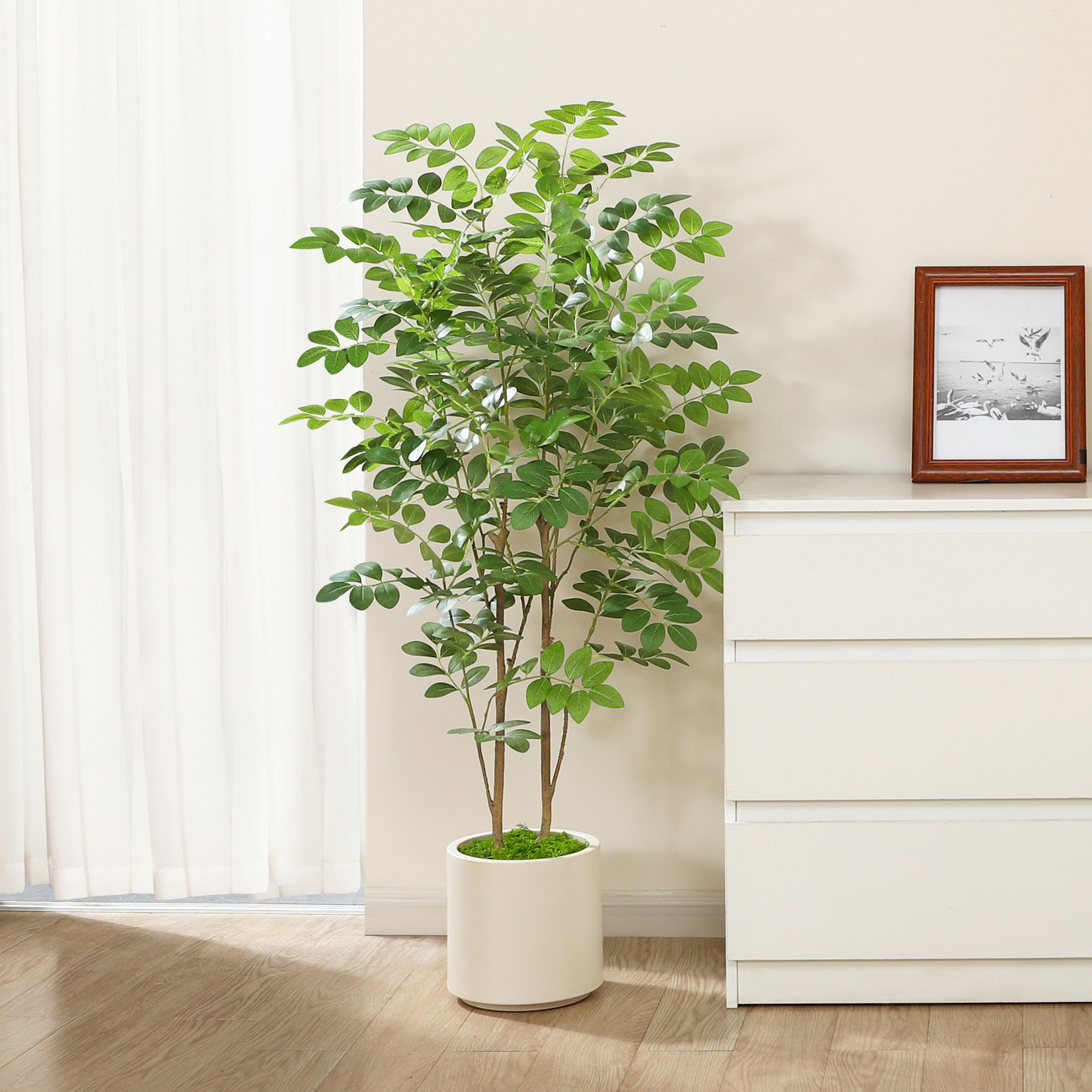 Primrue Faux Moringa Oleifera Tree in White Planter, Lifelike Fake ...