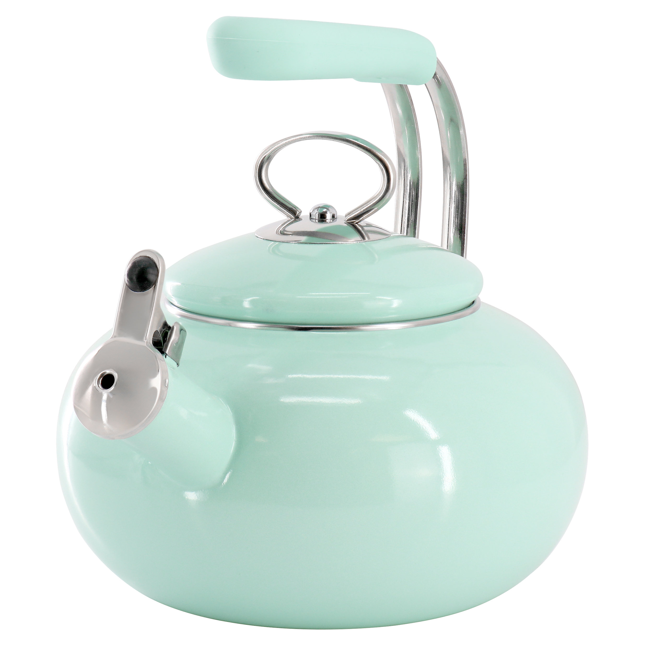 Martha Stewart 1.5 Quart Enamel on Steel Tea Kettle in Martha Blue ...
