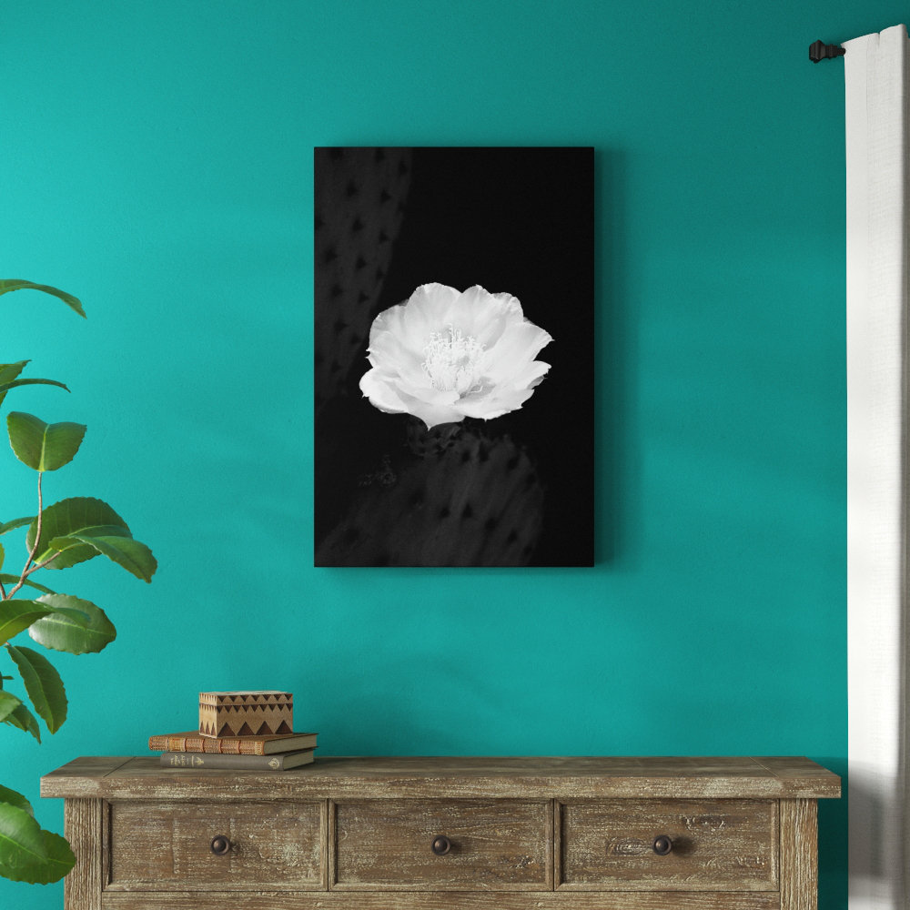 Union Rustic 'Prickly Pear Cactus Blossom' Photographic Print on ...