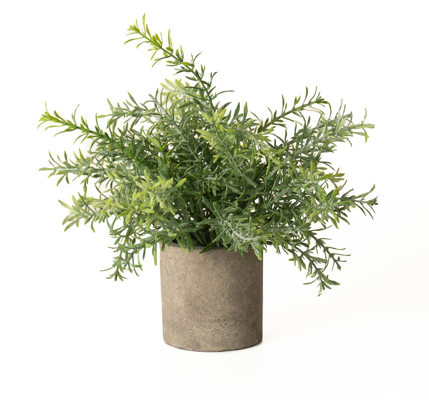 The Seasonal Aisle 24cm Artificial Rosemary Plant in Pot | Wayfair.co.uk