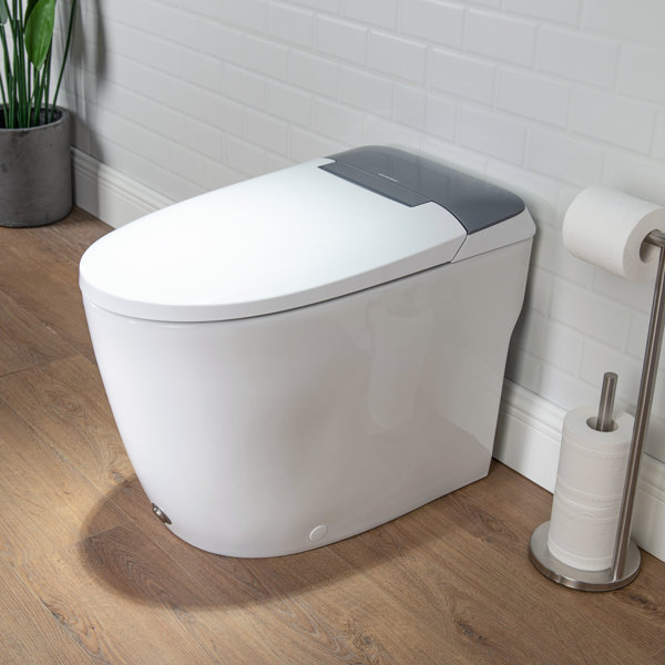 Bidet Toilets | Wayfair