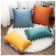 WARISI Tassels Velvet Pillow Cover & Reviews | Wayfair