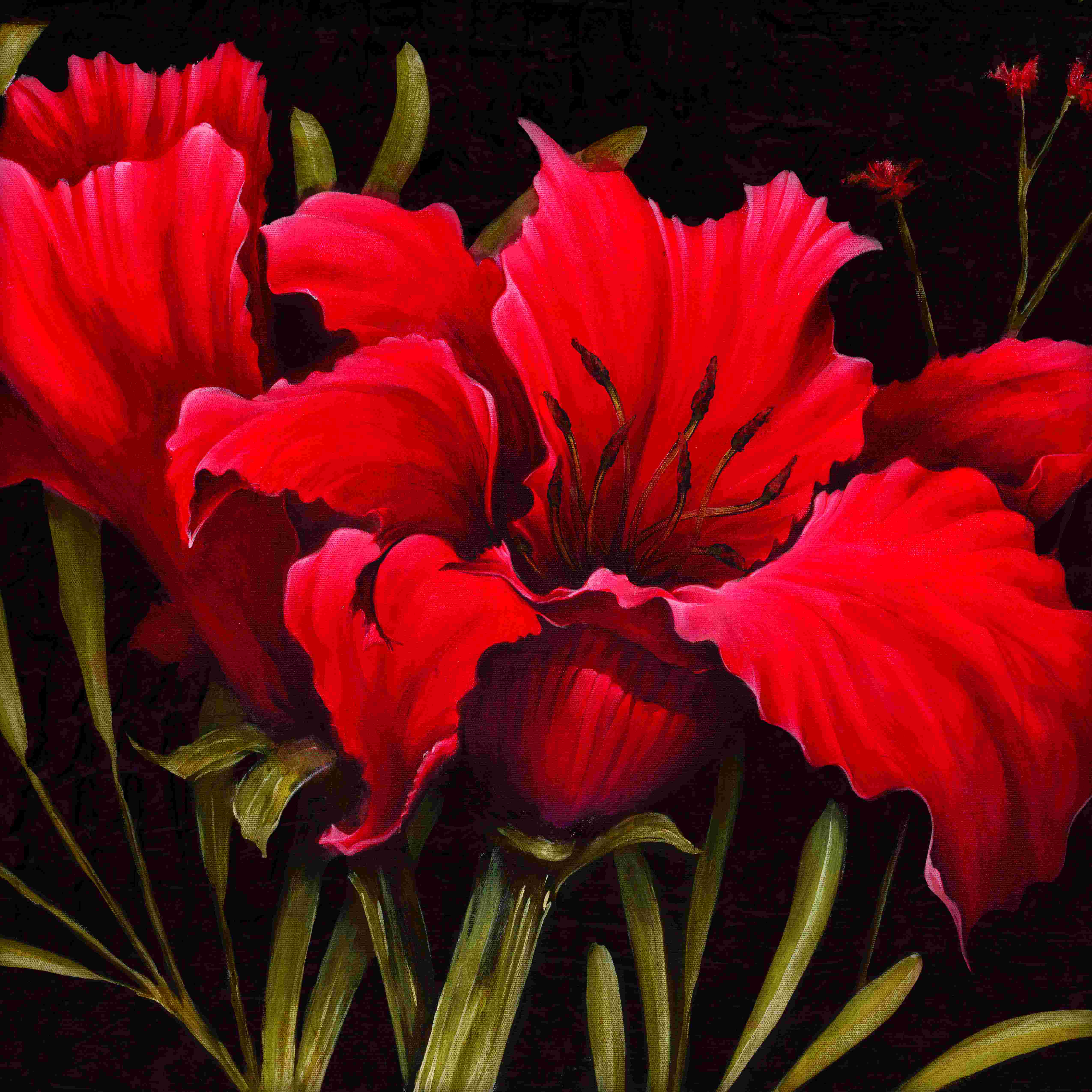 Winston Porter Crimson Bloom - Wrapped Canvas Graphic Art | Wayfair