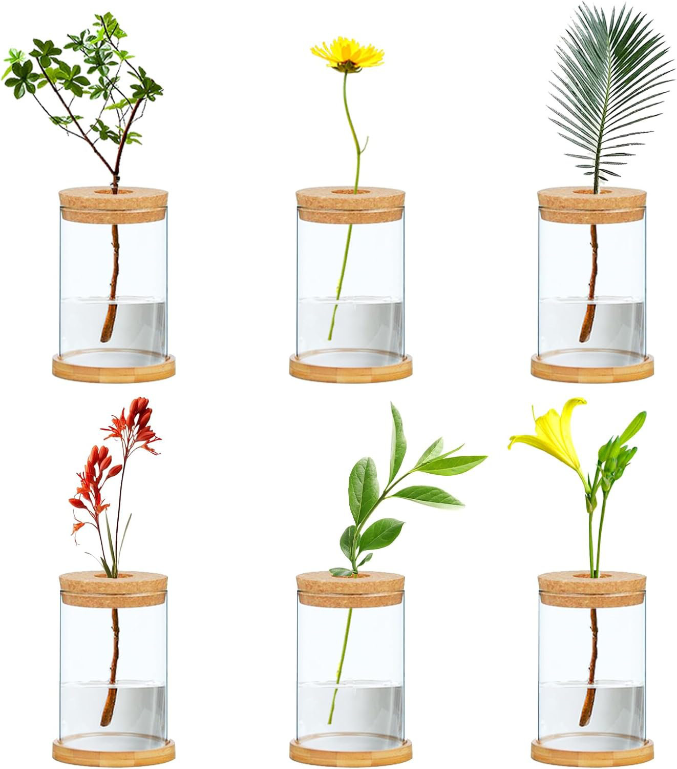 Ebern Designs 6 Pcs Plant Propagation Terrarium Glass Propagation Vase ...