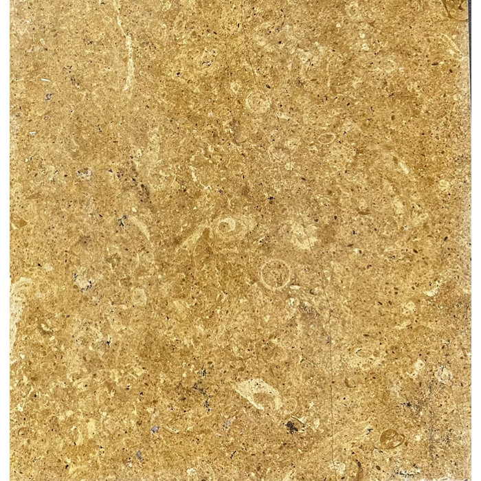 Tileville 12" x 12" Inca Gold Marble Stone Look Wall & Floor Tile | Wayfair