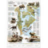 National Geographic Maps Dinosaurs of North America Poster Map | Wayfair