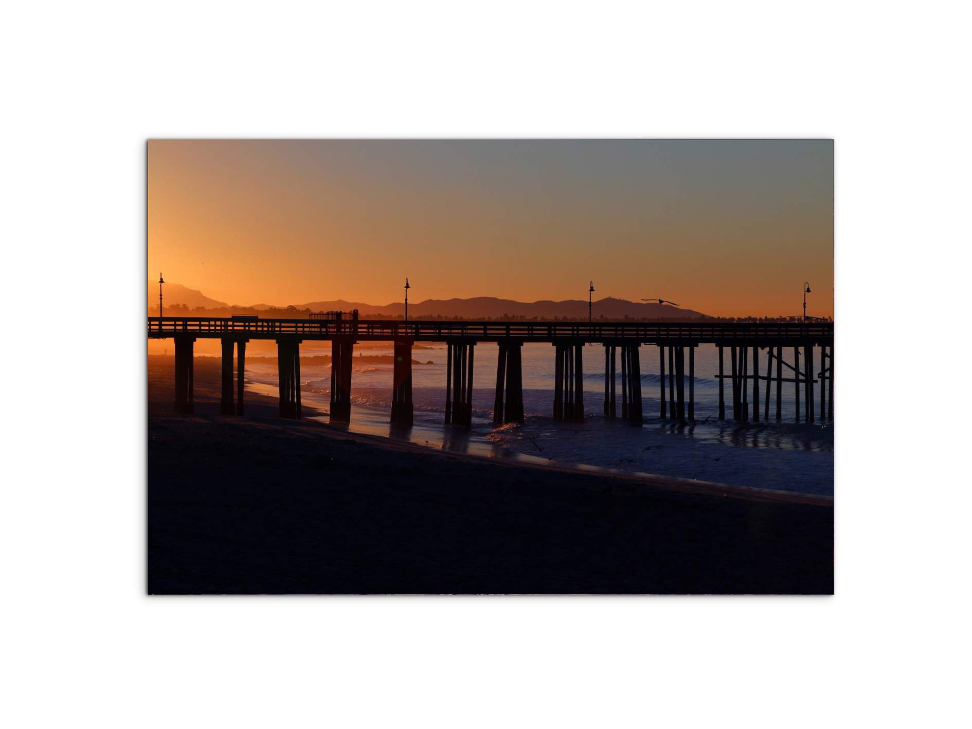 Ebern Designs Sunset on the Beach by Art Studio 53×80 cm MetalArt ...
