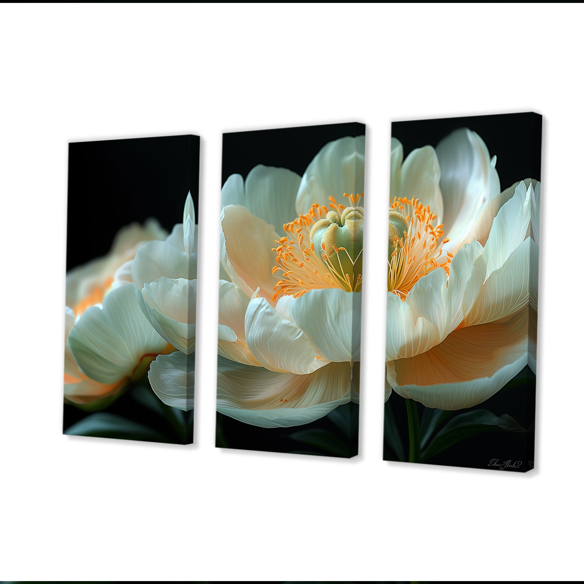 Design Art White Black Crystal Peonies Beauty II - Peonies Wall Art ...